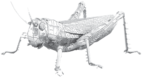 New Products | 3D Metal Model Kits