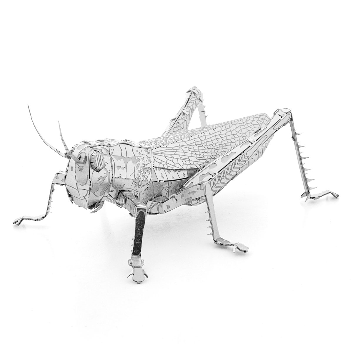 Grasshopper Metal Earth | 3D Metal Model Kits