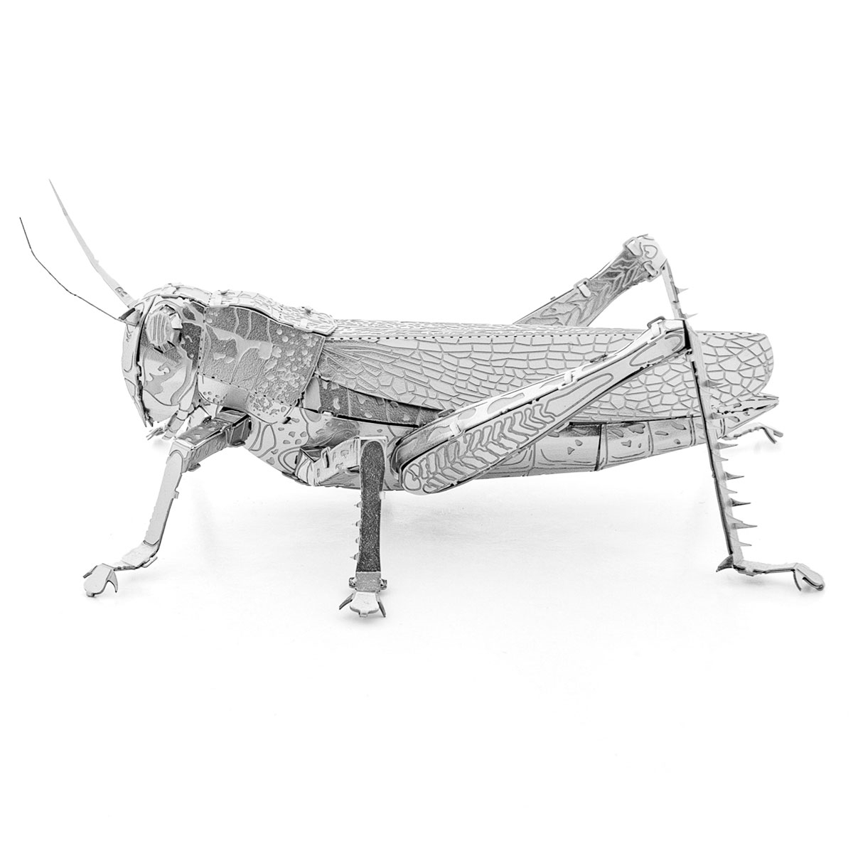 Grasshopper Metal Earth | 3D Metal Model Kits