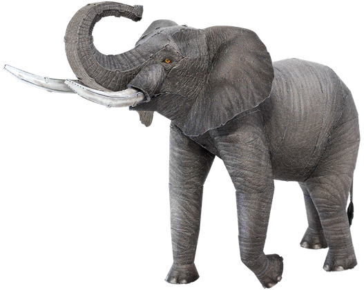 Wildlife | 3D Metal Model Kits